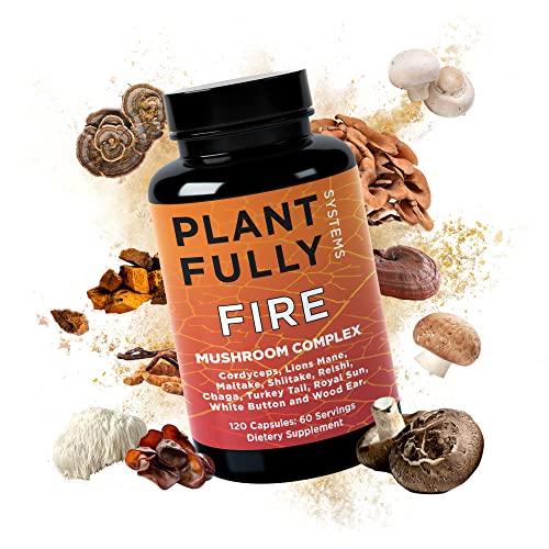 Mushrooms for mental clarity