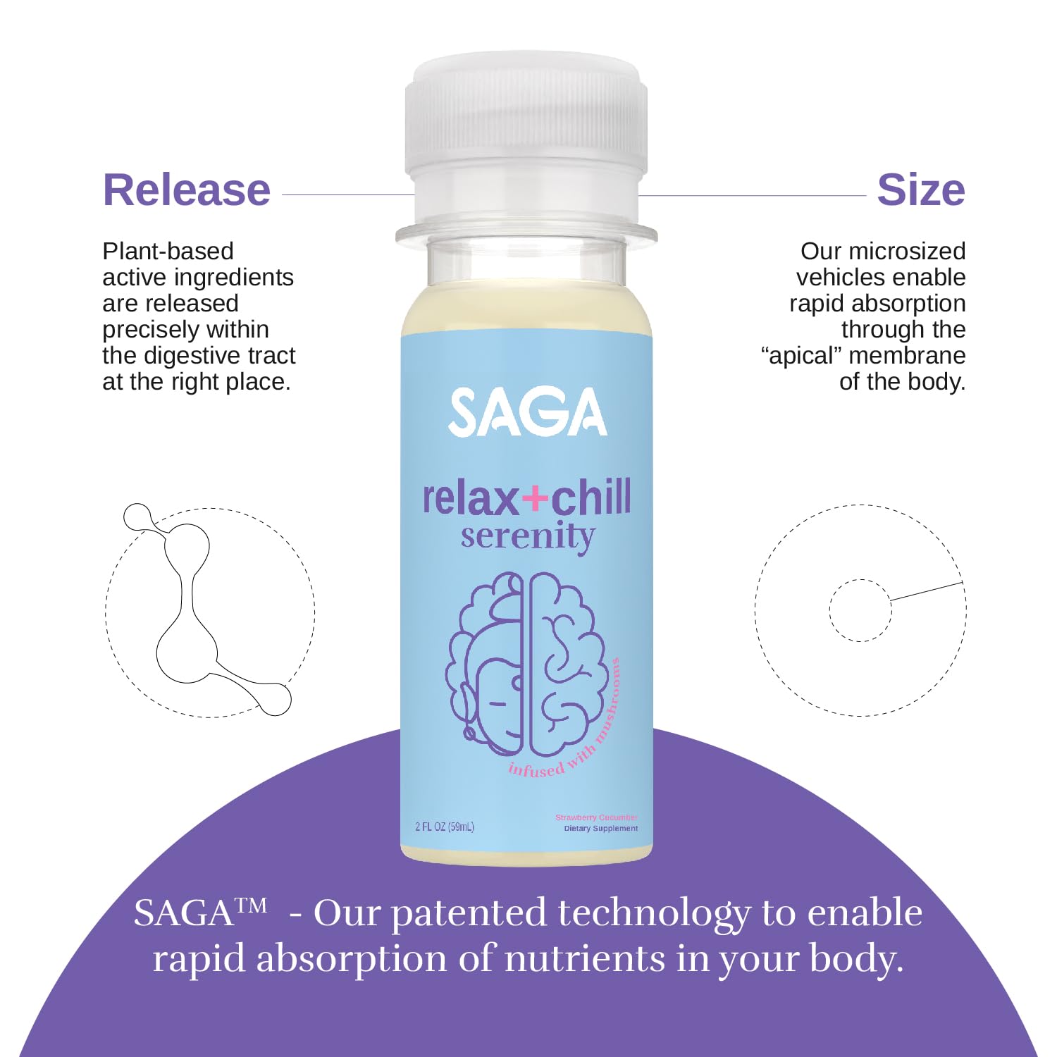 mushrooms for mental clarity