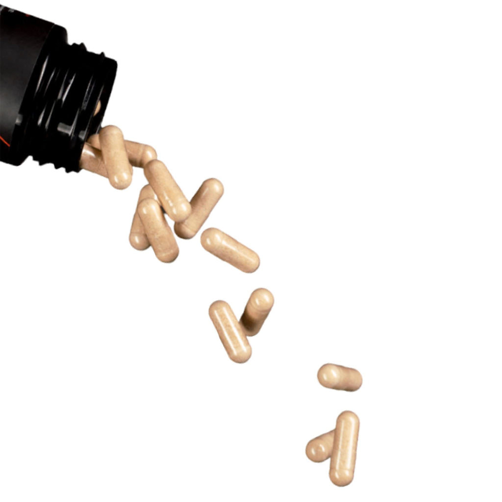 mushrooms for mood and memory enhancement