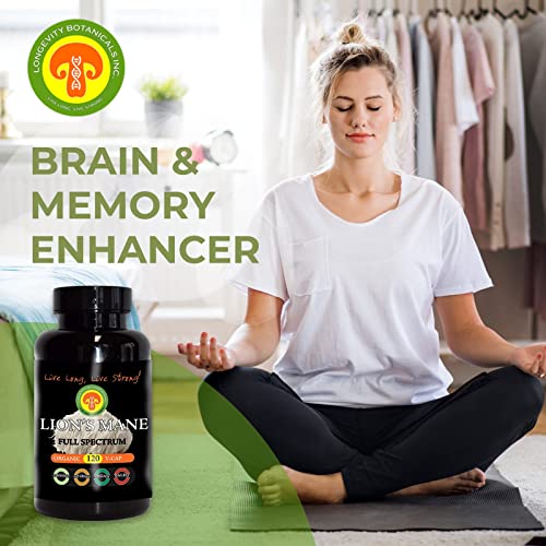 mushrooms for overall brain support