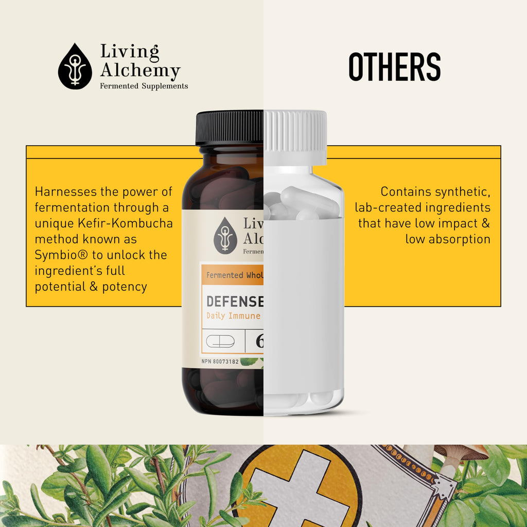 mushrooms for overall health support