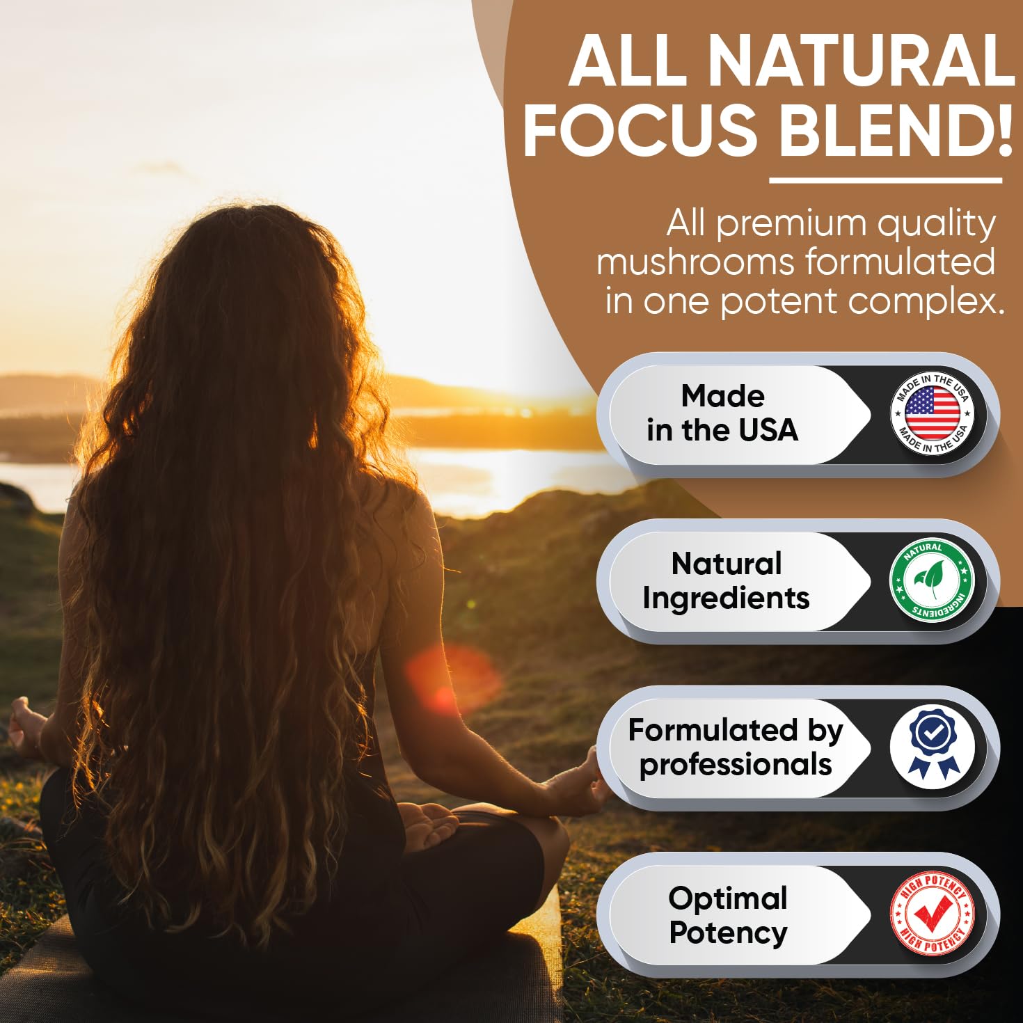 Mushrooms for overall wellness in Canada