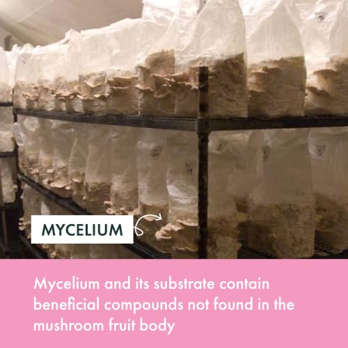 Mushrooms for overall wellness support