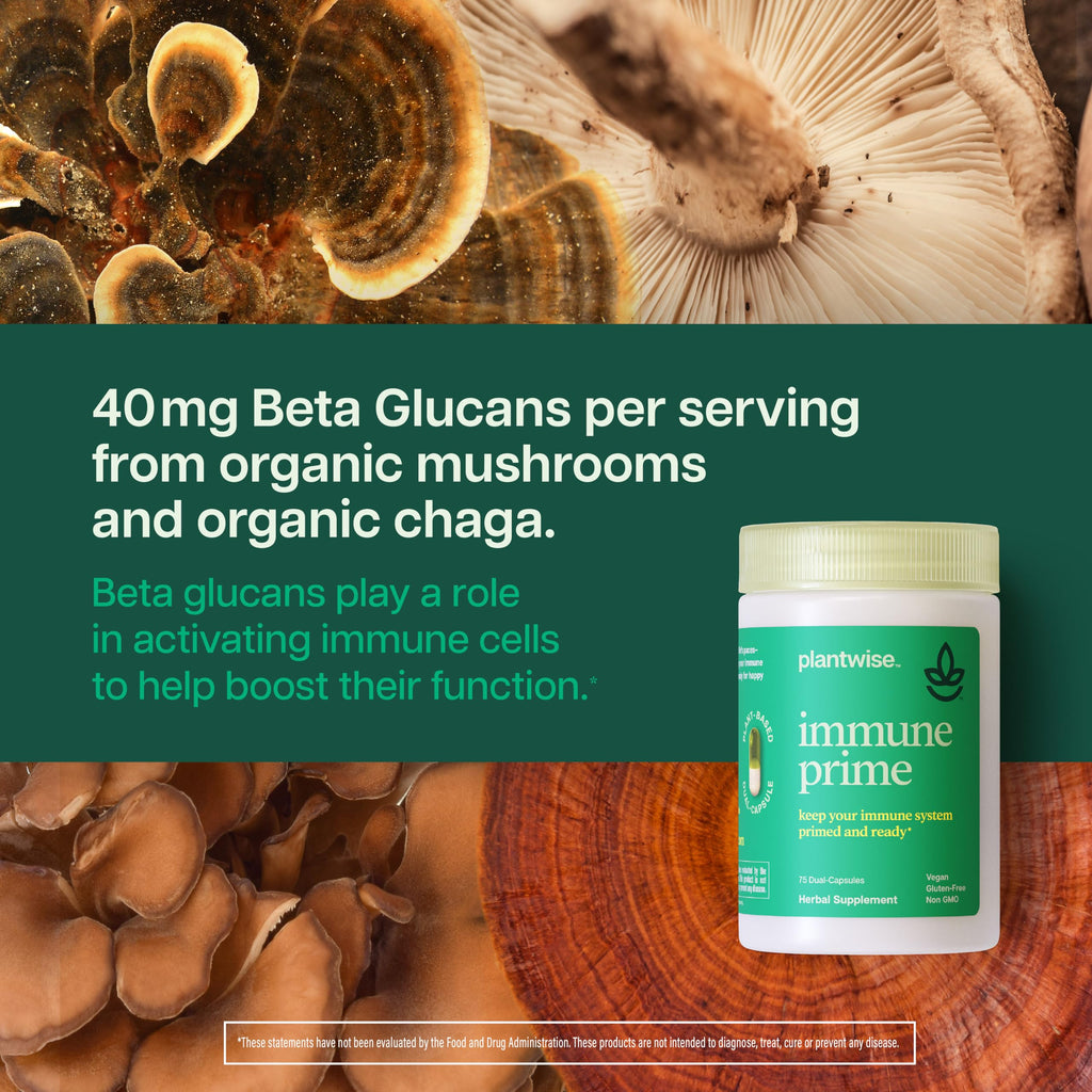 Mushrooms for overall wellness support