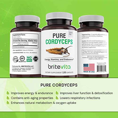 mushrooms for overall wellness support