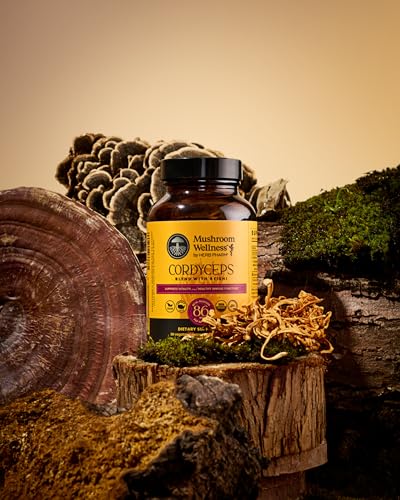 mushrooms for overall wellness