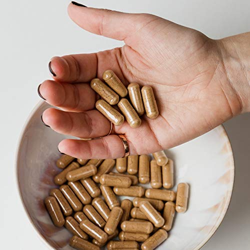 mushrooms for overall wellness