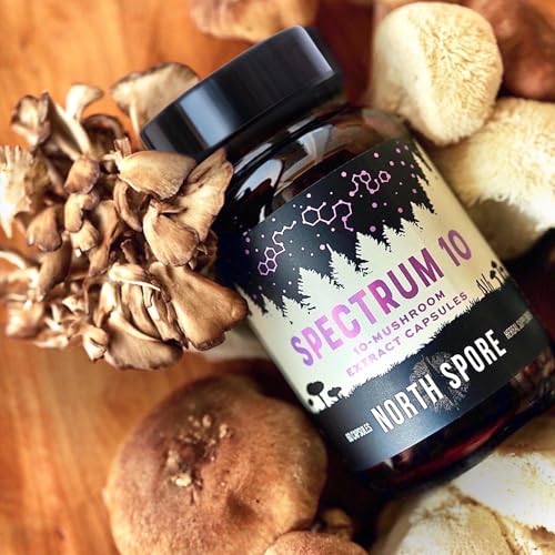 mushrooms for overall wellness
