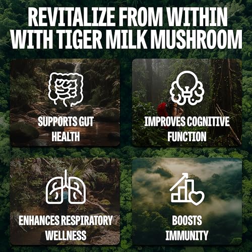 mushrooms for respiratory health