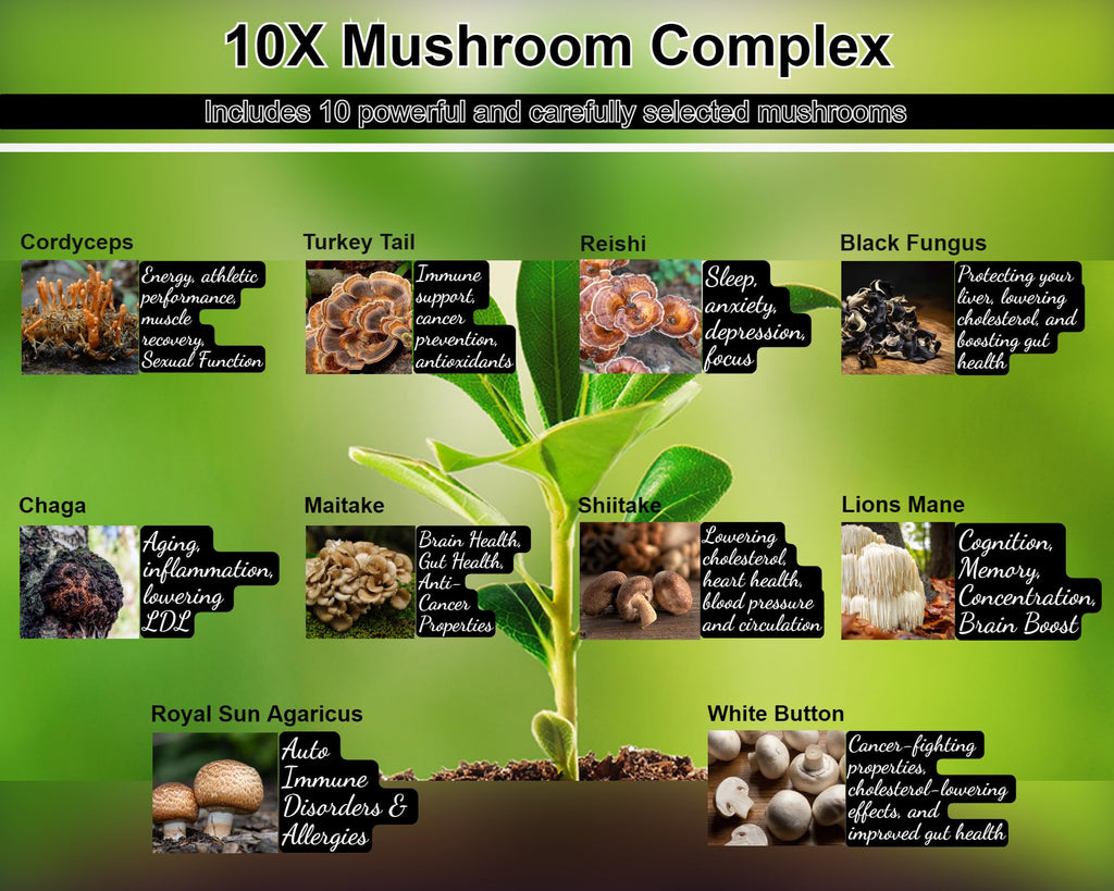 Mushrooms for stress relief and balance