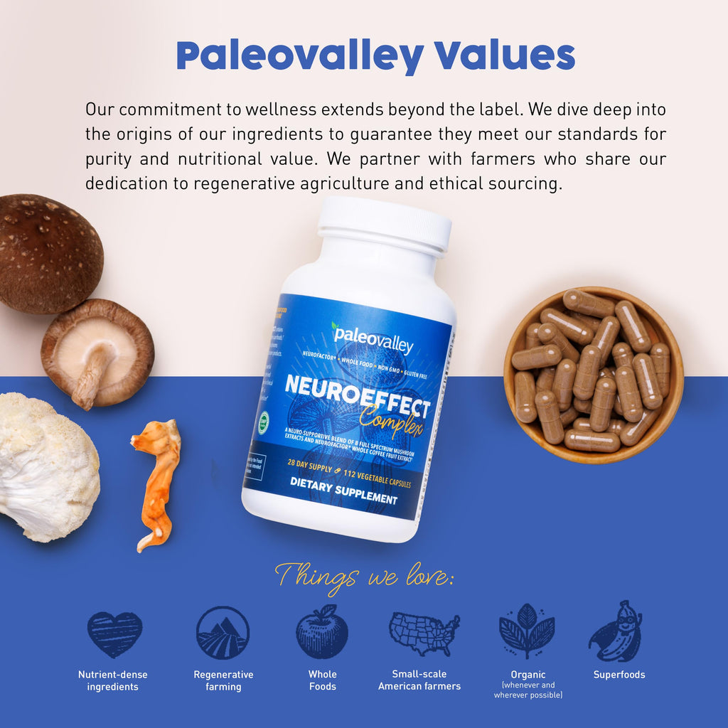 mushrooms for stress relief and focus