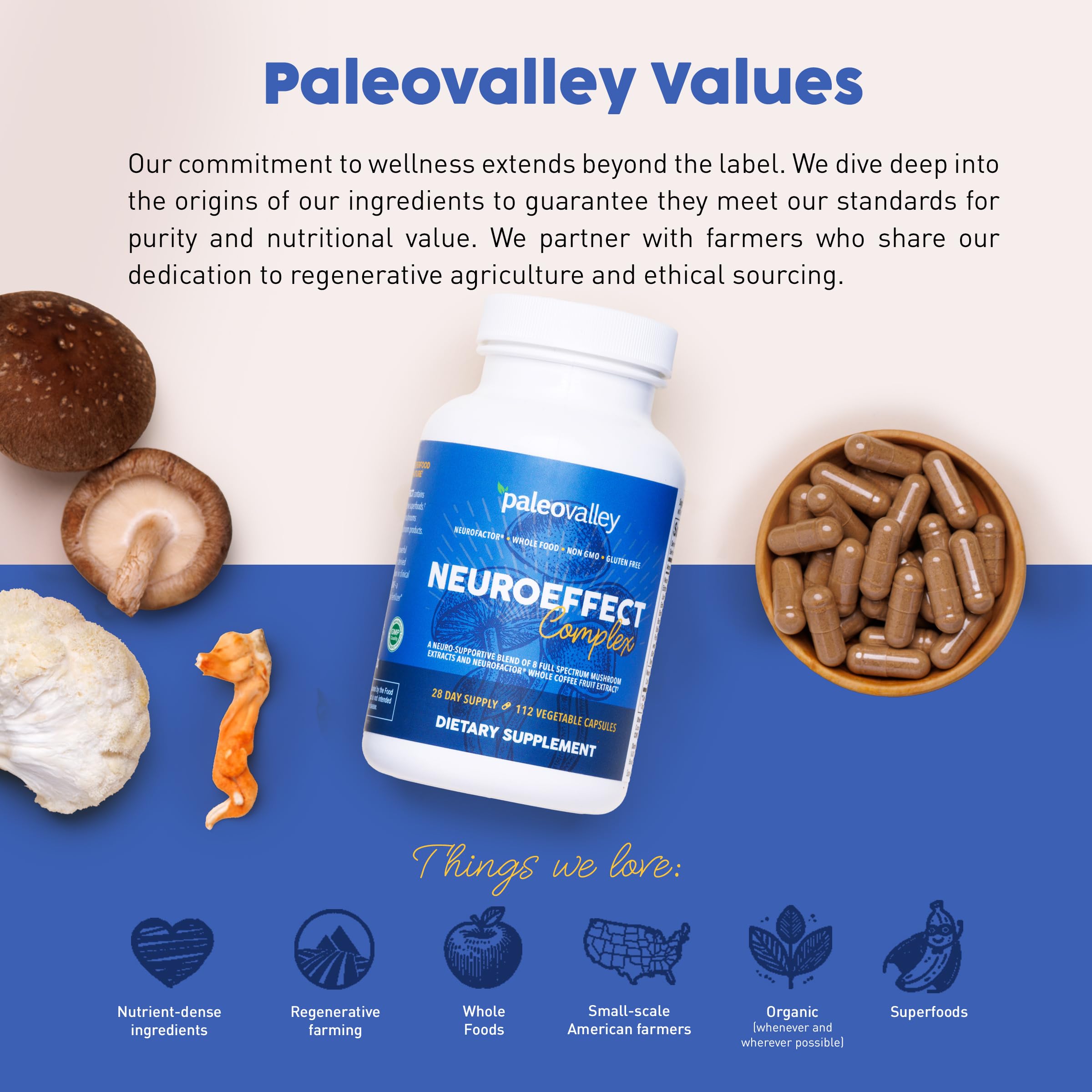 mushrooms for stress relief and focus