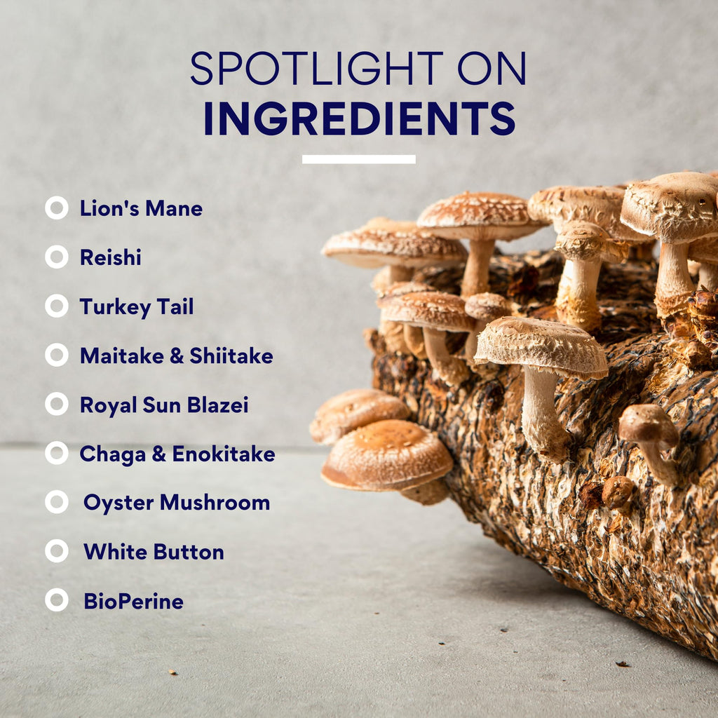 mushrooms for stress relief and focus