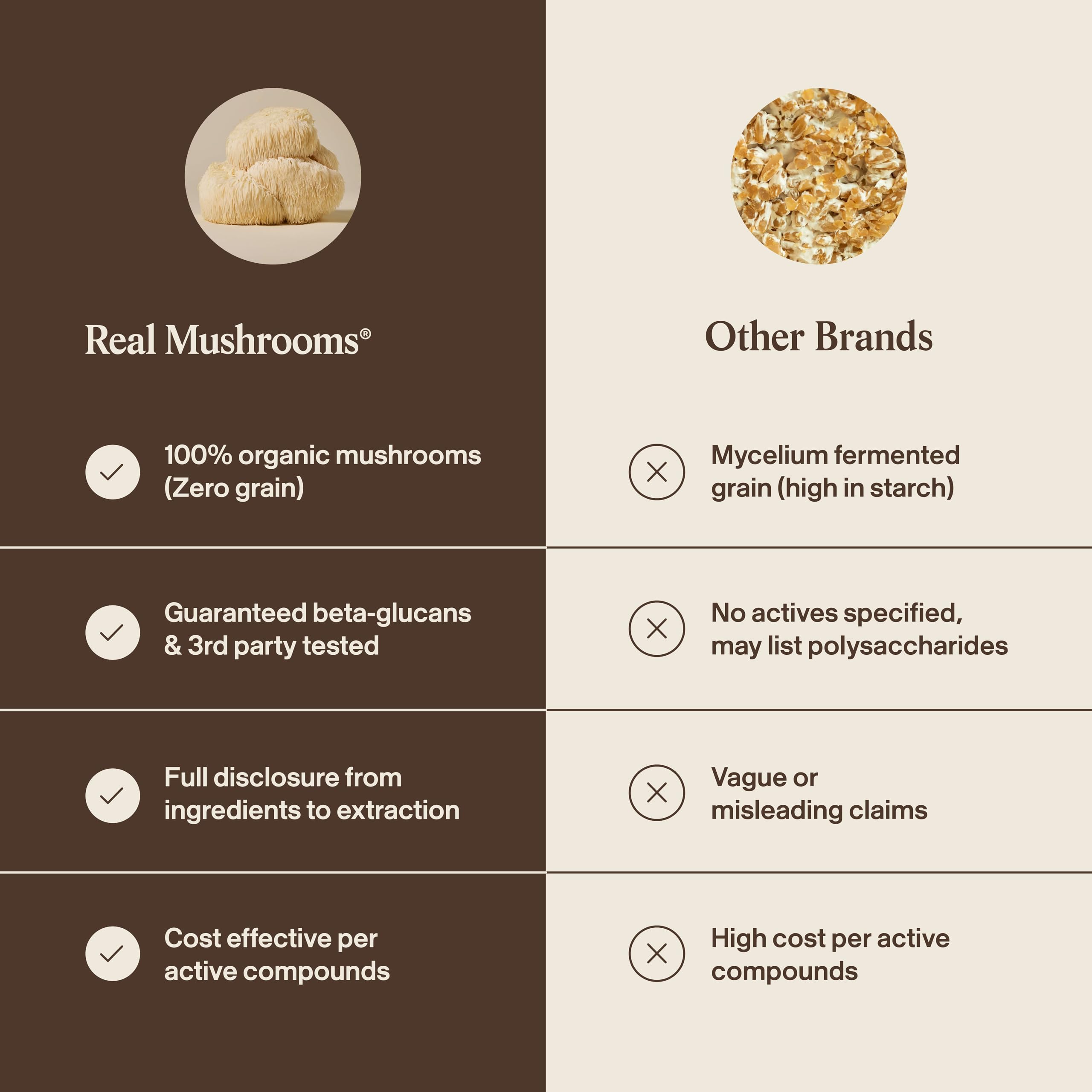 Mushrooms for stress relief and focus