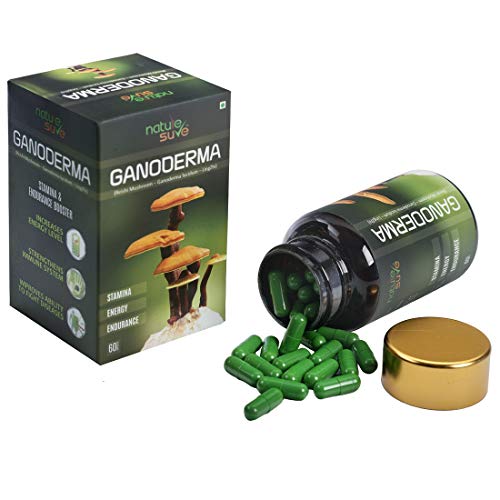 mushrooms for stress relief and relaxation
