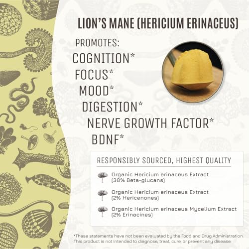mushrooms for synapse repair benefits