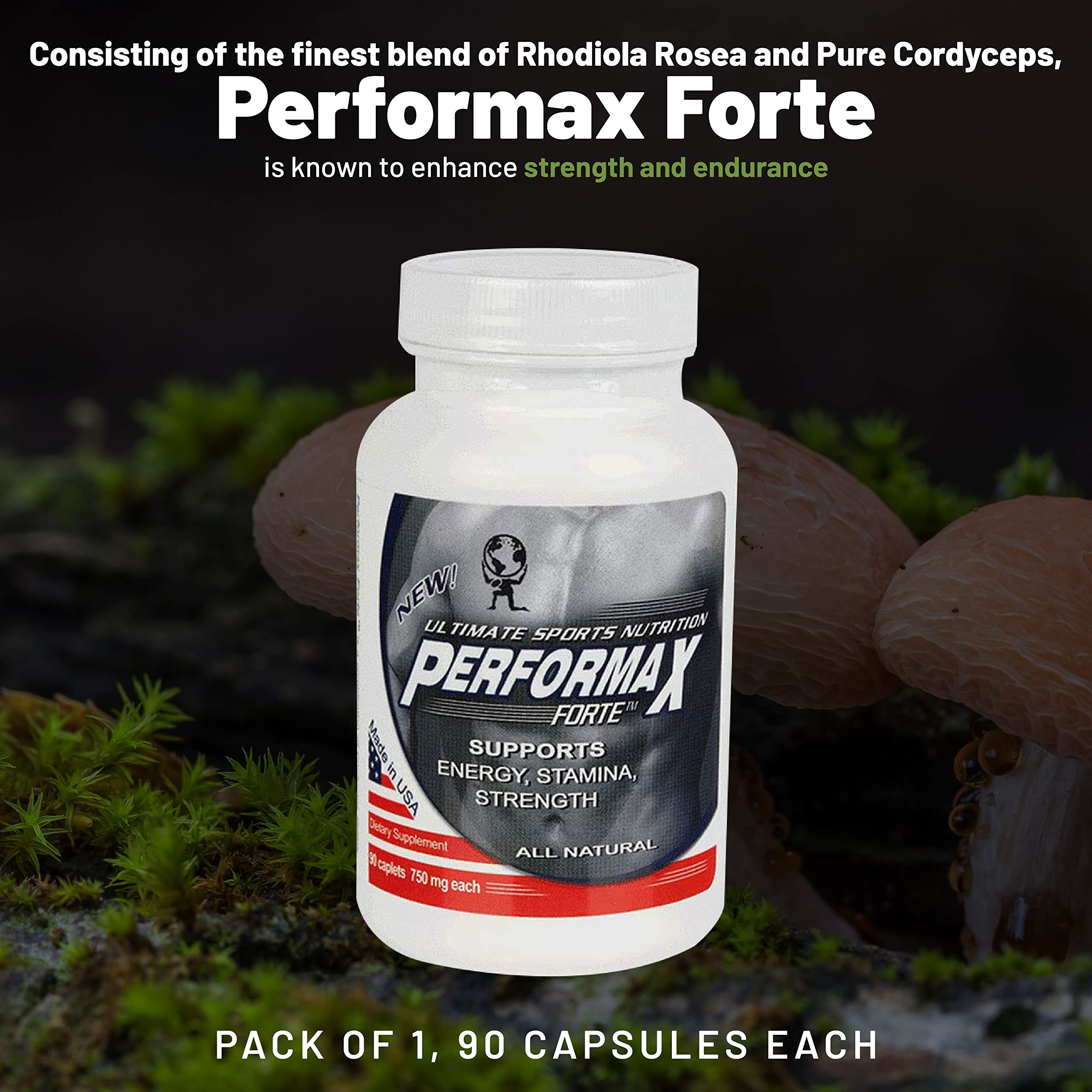 mushrooms for vitality and wellness