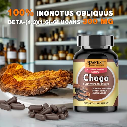 Mushrooms supplement for active lifestyle