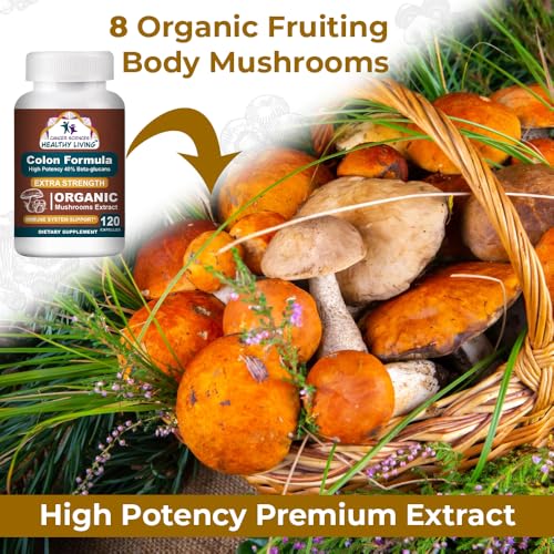 mushrooms supplement for better digestion