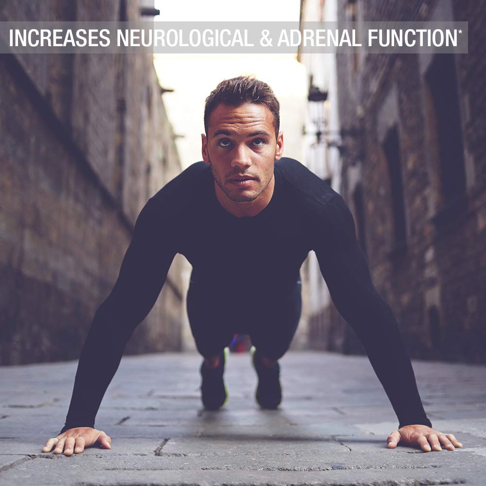 mushrooms to enhance focus and energy