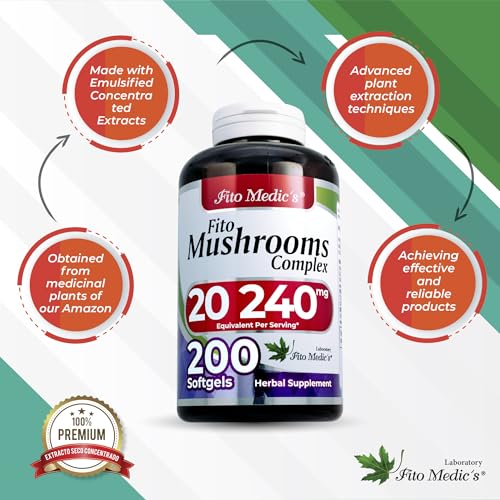 mushrooms to support brain function