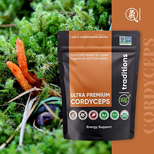 mushrooms to support respiratory health