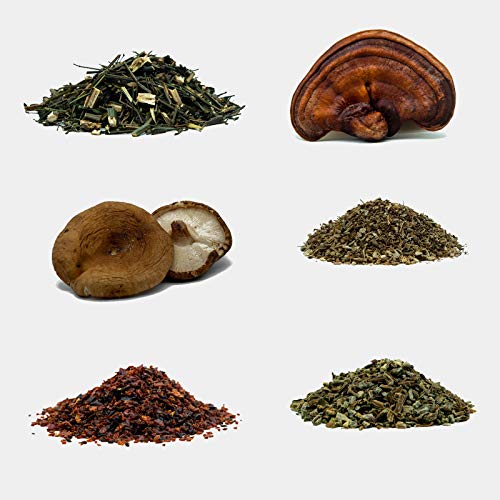 mushrooms with reishi and cordyceps