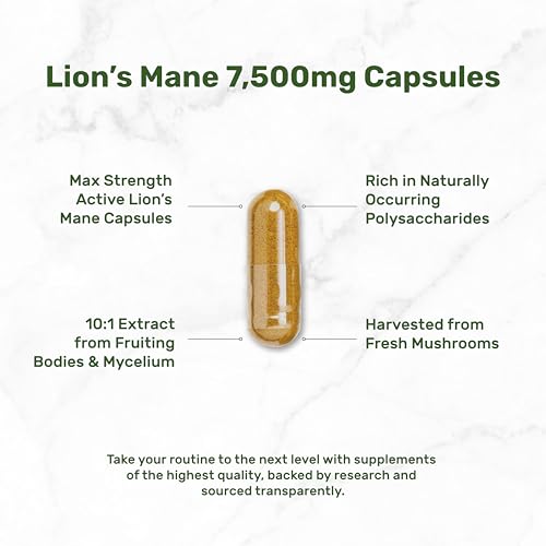 mycelium extract for brain health