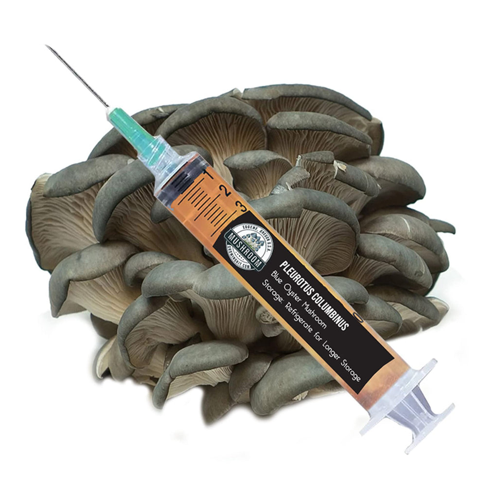 Mycelium syringe for home cultivation