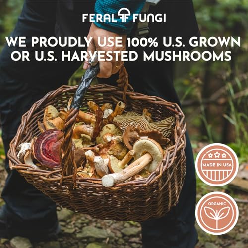 Myco mushroom extract for natural health