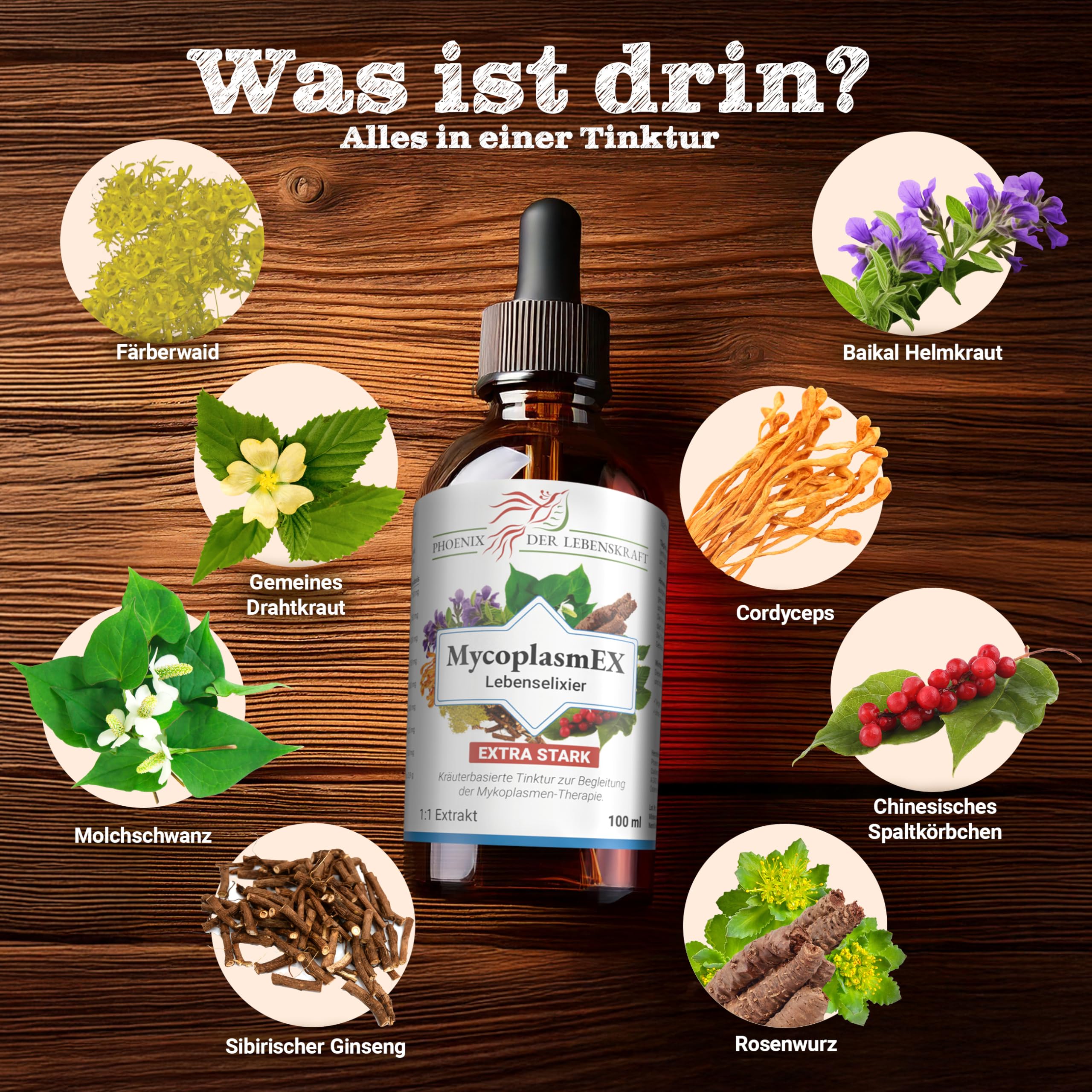 MycoplasmEx elixir for immune support