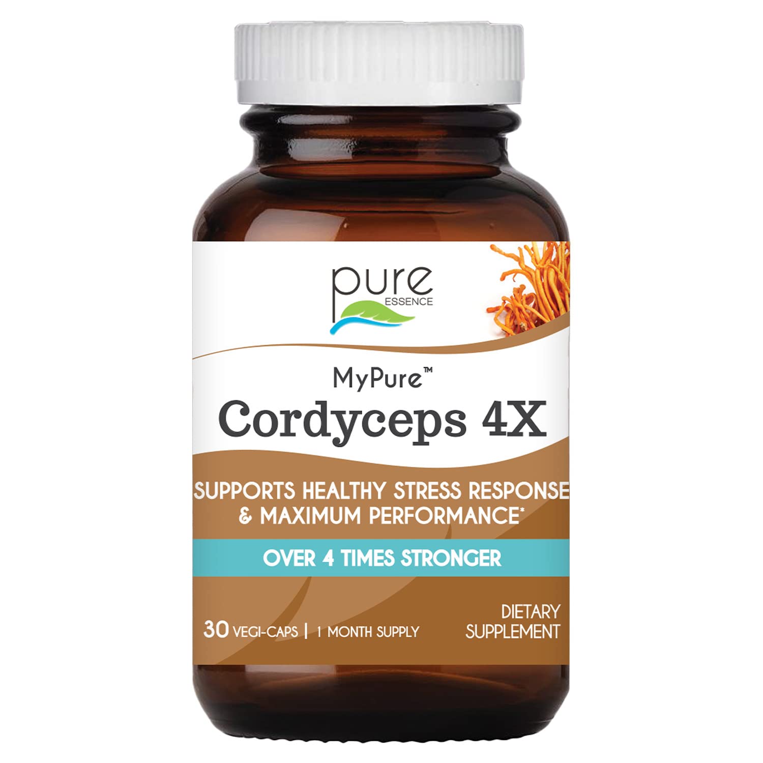 MyPure Cordyceps mushroom powder benefits