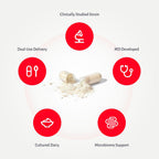 MyReuteri probiotic supplement benefits