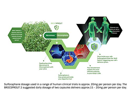 myrosinase enhanced vitamin capsules