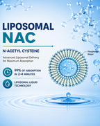 N-Acetyl Cysteine for liver support