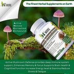 N' MORE mushroom blends with powerful adaptogens