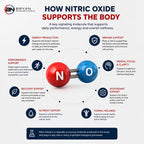N.O. Beetz pre-workout energy boost