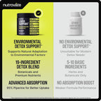 NAC and ALA for liver health
