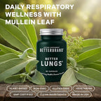 NAC and mullein herbal benefits