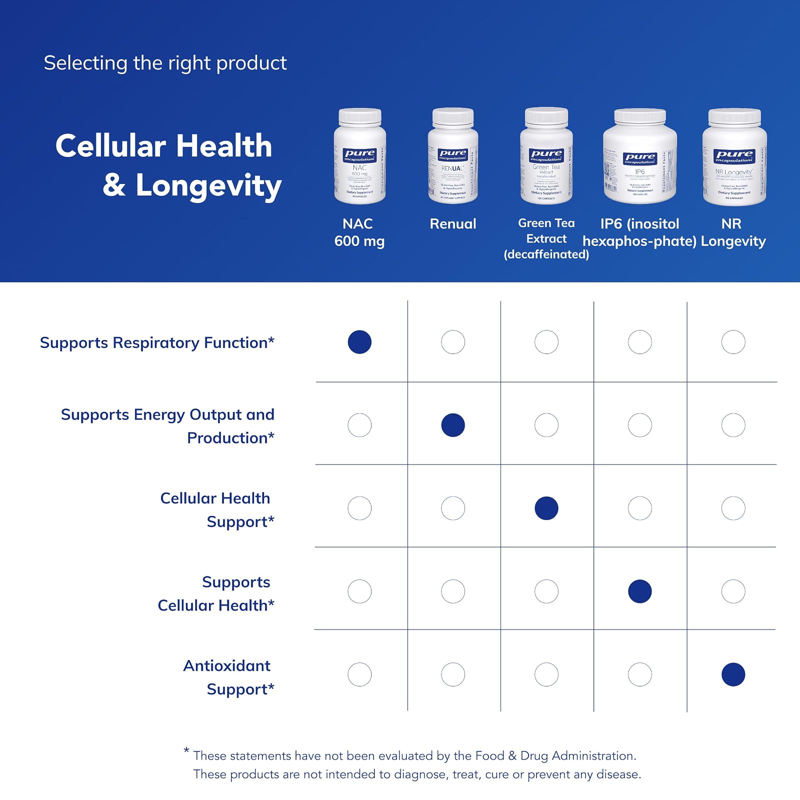NAC for respiratory health support
