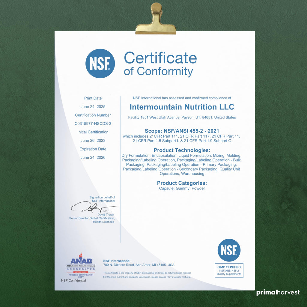 nac supplement and milk thistle synergy