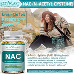 NAC supplement for immune support