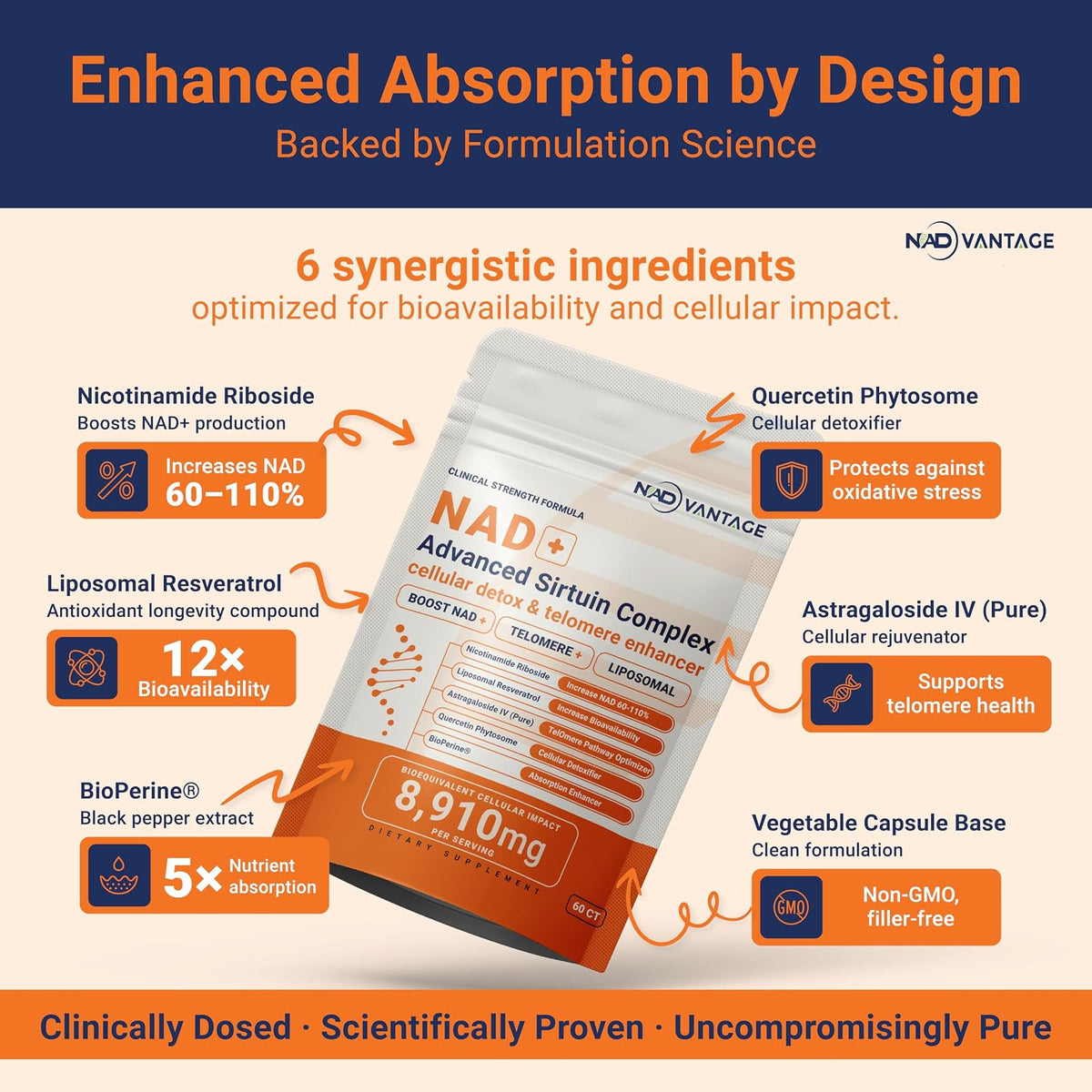 NAD+ 5D Matrix supports energy levels