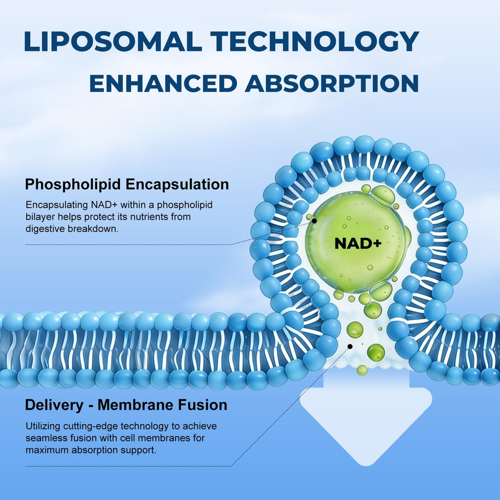 NAD and resveratrol for vitality