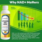 NAD+ antioxidant support for energy