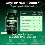 NAD+ Boost for cellular health