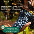NAD+ capsules for healthy aging