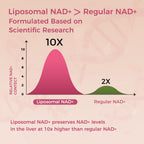 NAD+ capsules for vitality