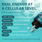 NAD Elite Complex for energy support