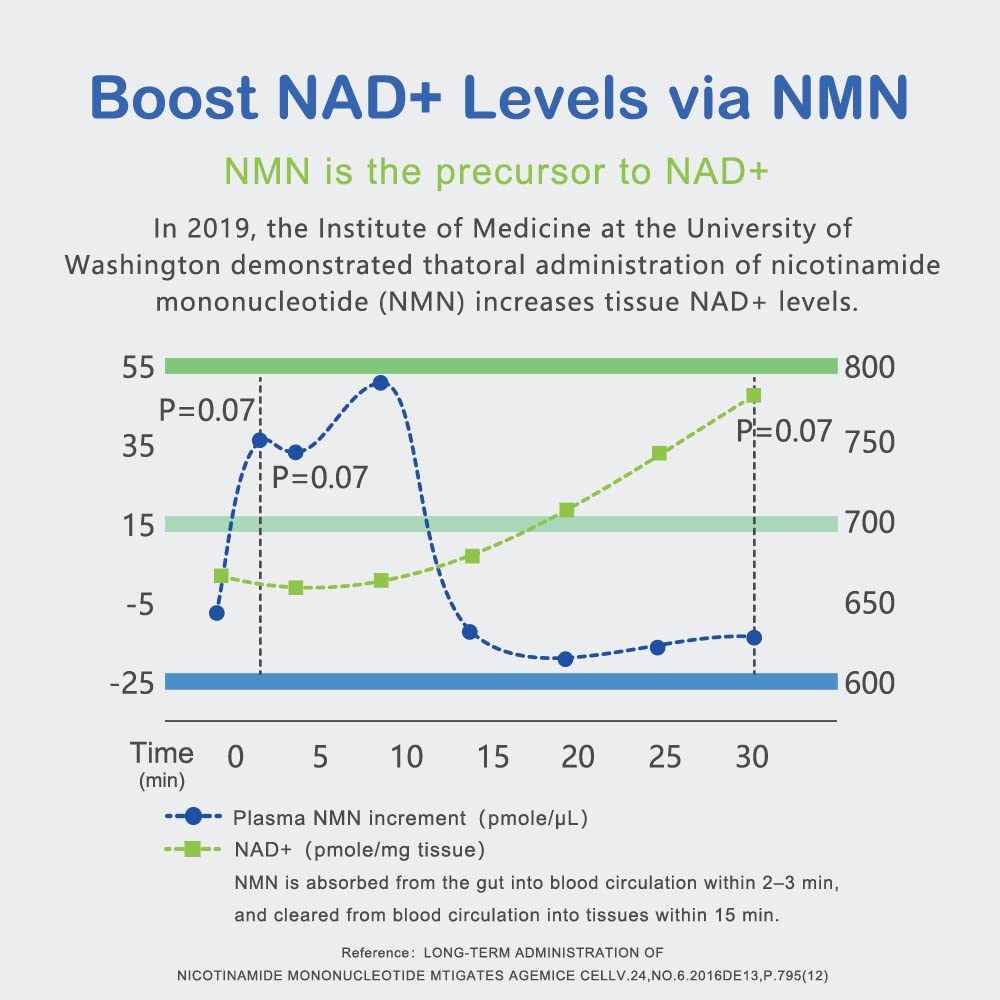 NAD+ enhancement with Brosia NMN